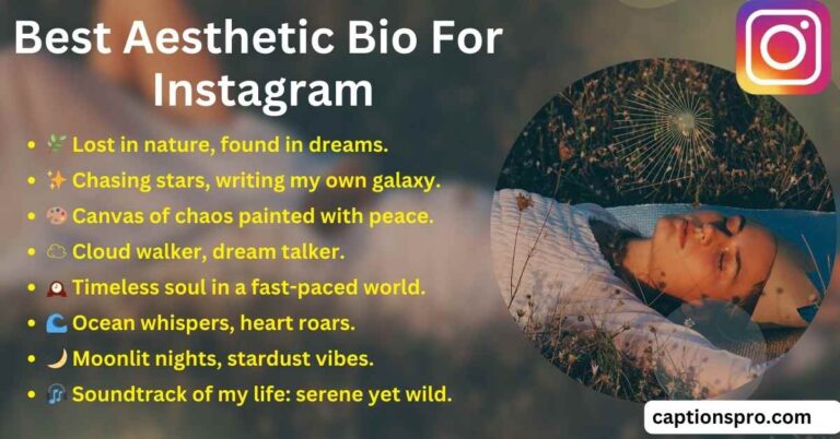 300+ Best Aesthetic Bio For Instagram in 2025 - Captions Pro