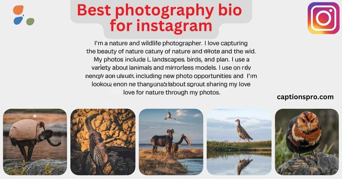 450+ Best Photography Bio For Instagram 2025 - Captions Pro