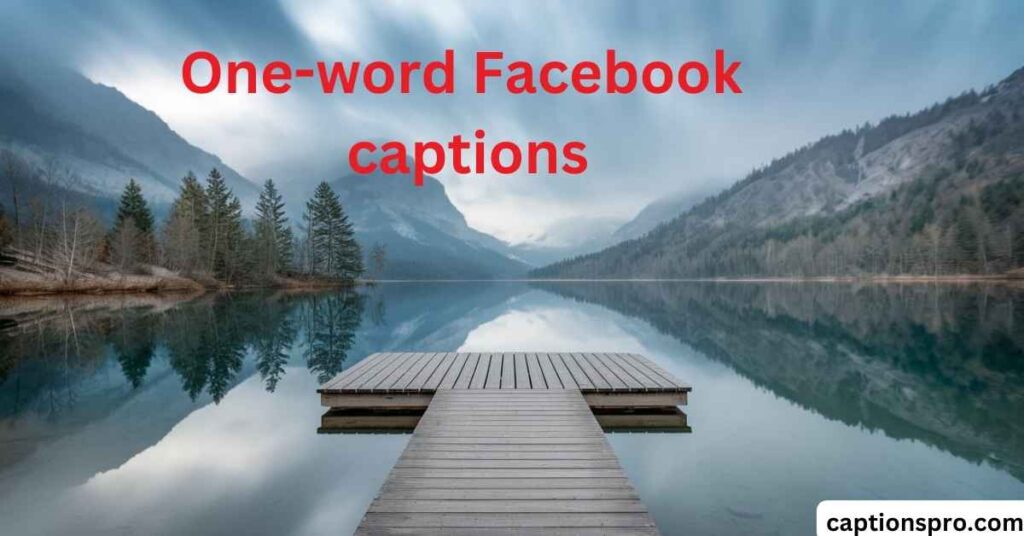 600+ Facebook Caption For Profile Picture In 2025 - Captions Pro